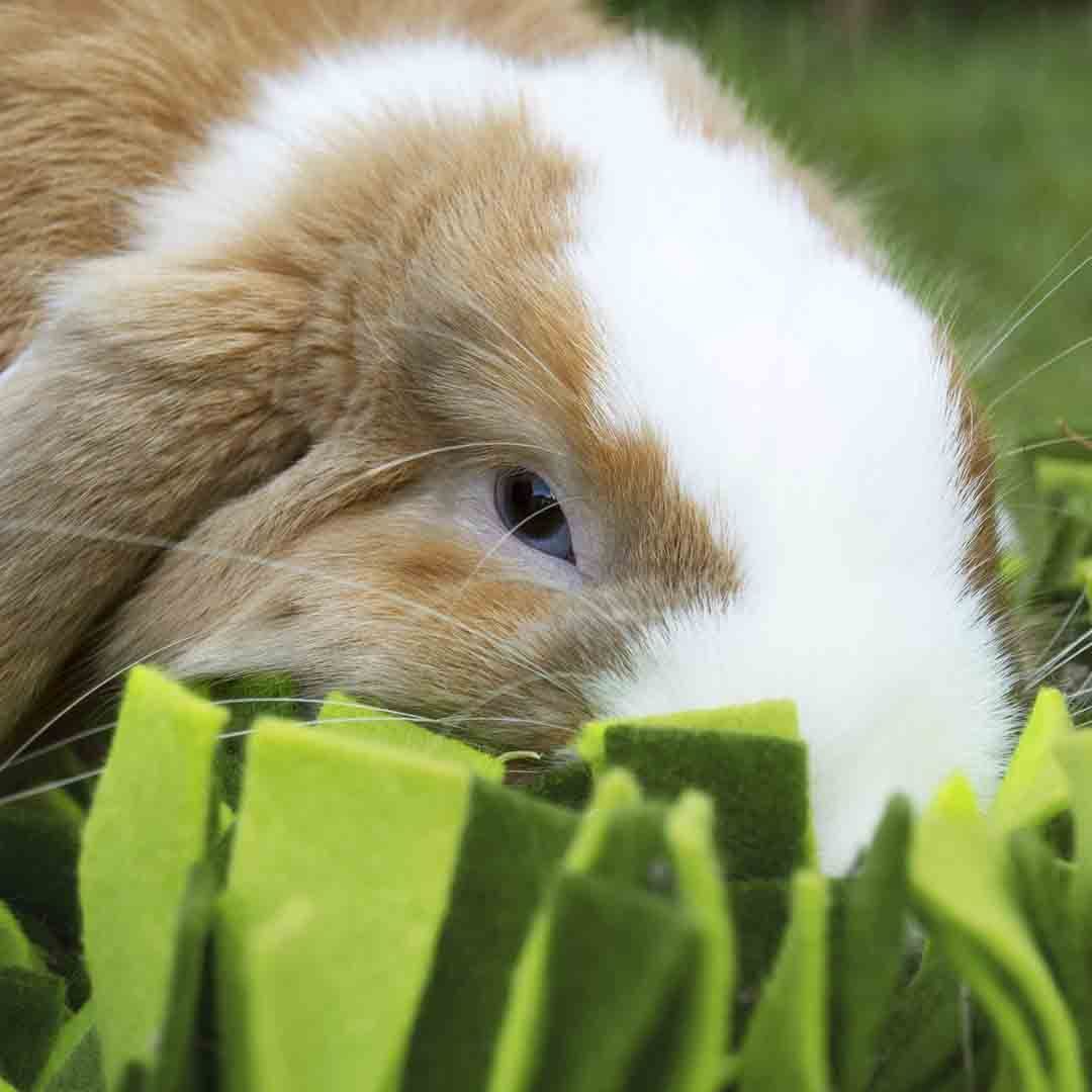 Rosewood Snuffle Forage Mat | 29.5 x 20 cm