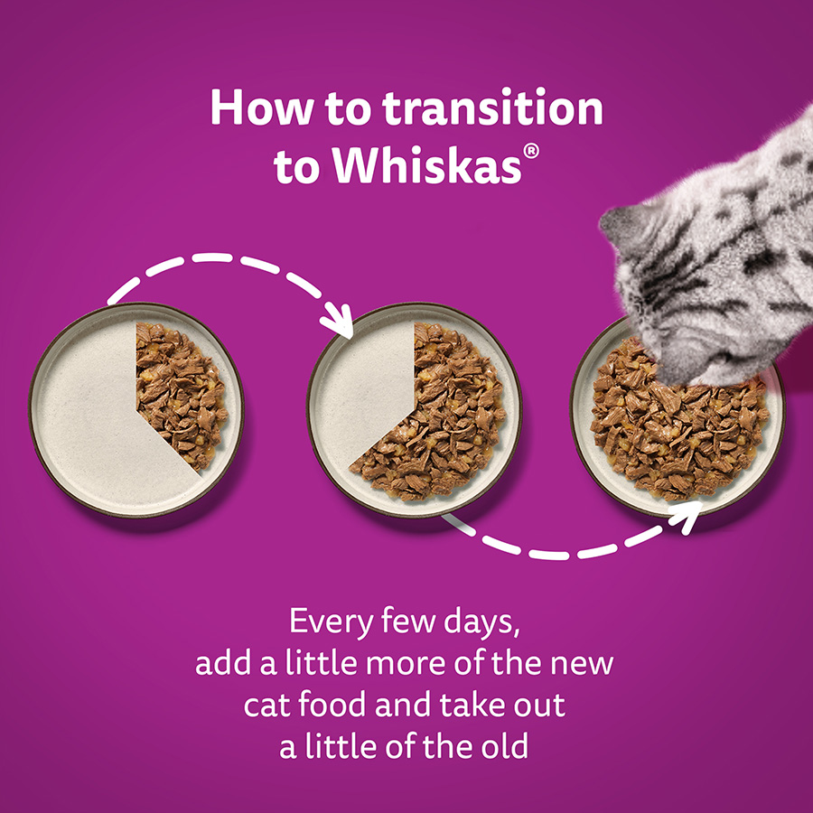 Whiskas 1 Adult Wet Cat Food Poultry In Jelly 80x85g Jollyes
