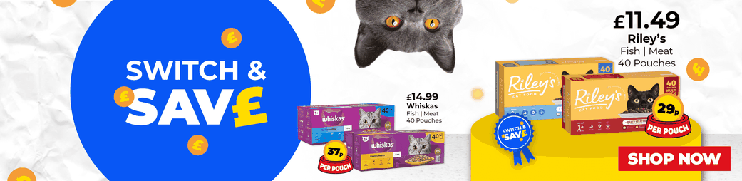Cat Food & Accessories | Large & Small Cats | Jollyes