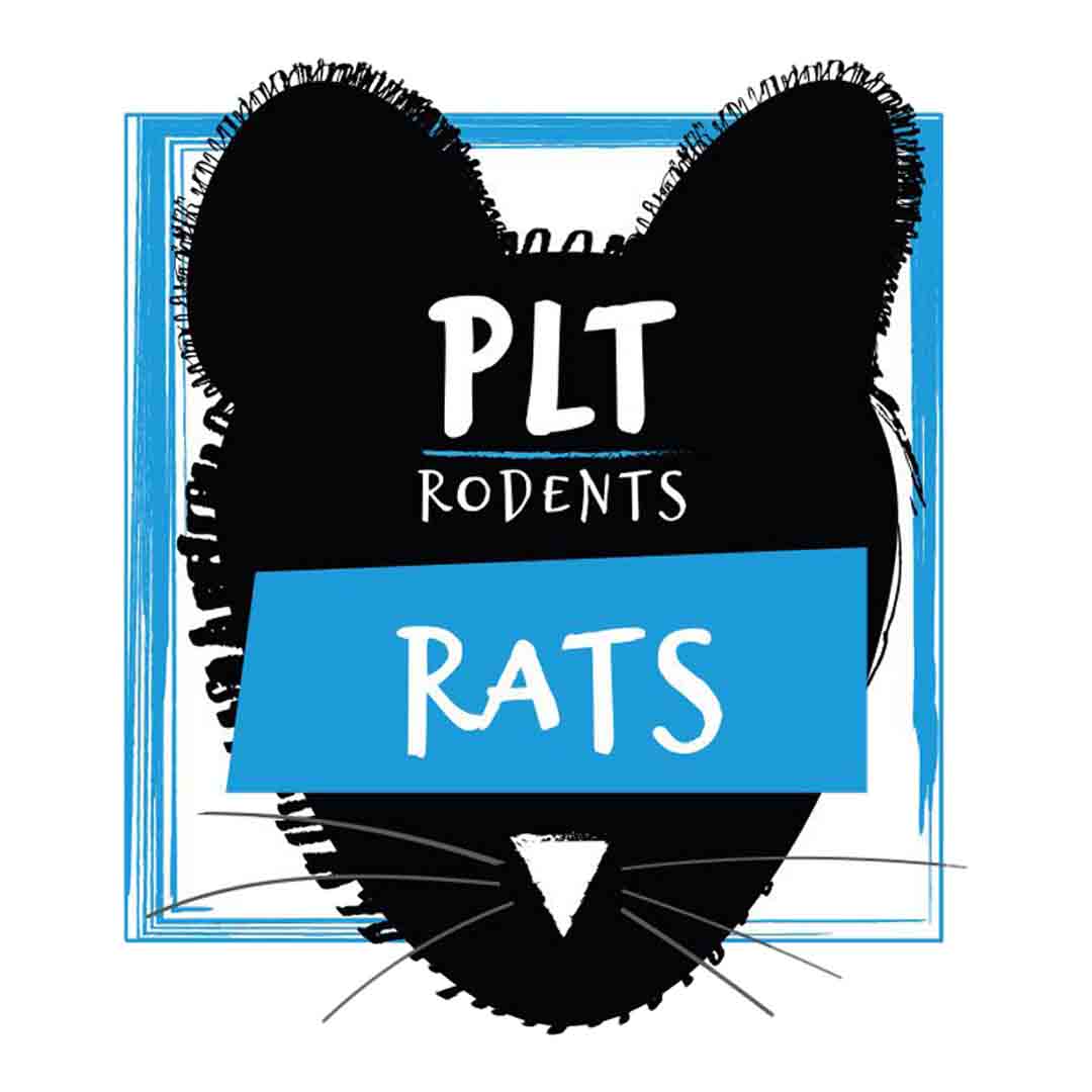 PLT Frozen Rat Weaner Small 30 g |10 Pack | Reptile Food