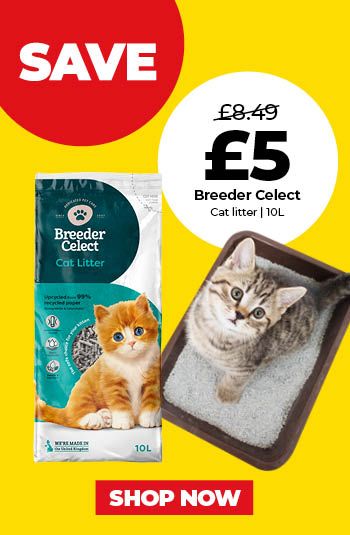 Cat Food & Accessories | Large & Small Cats | Jollyes