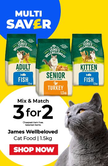 Cat Food & Accessories | Large & Small Cats | Jollyes