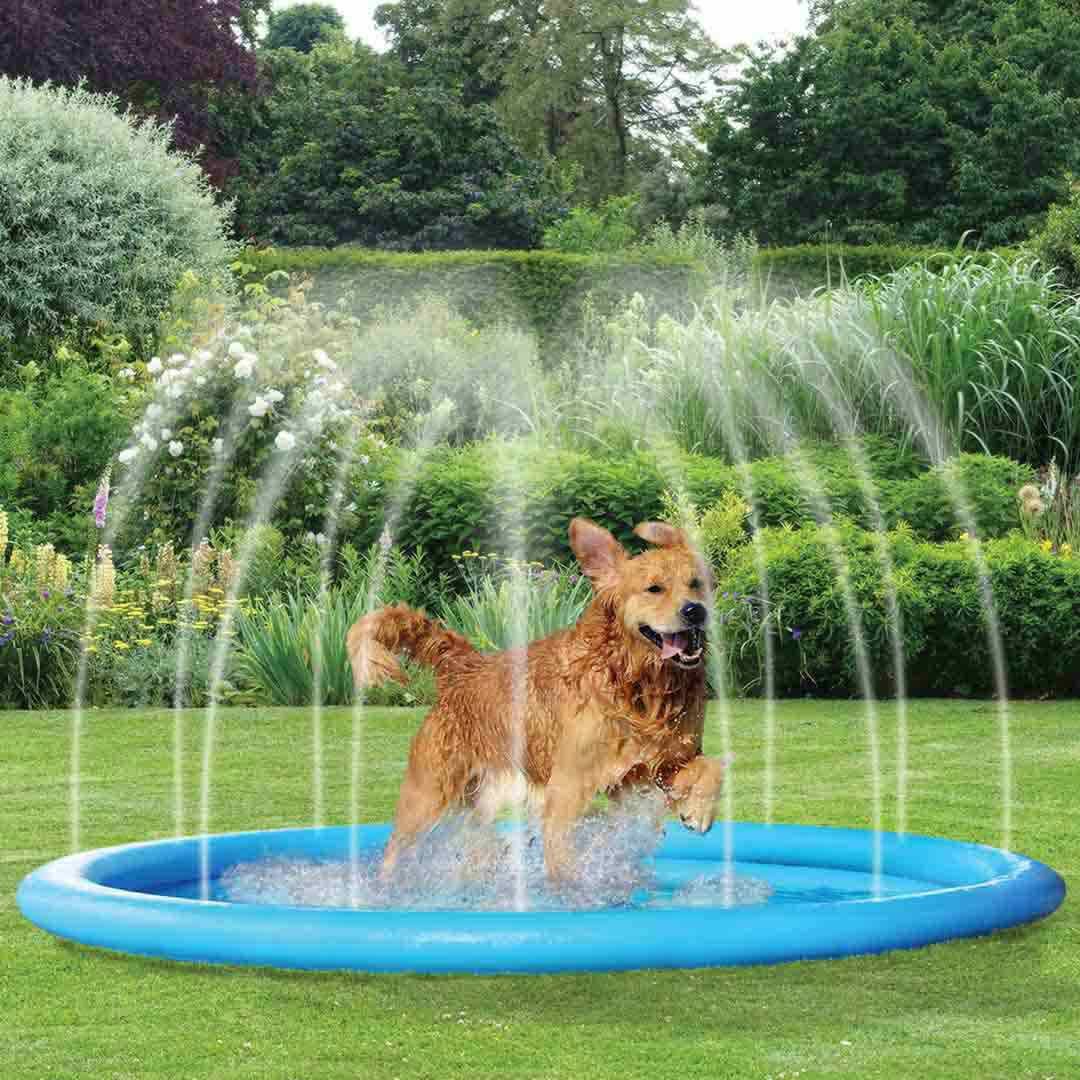 R&R | Summer Pet Water Sprinkler | Dog Water Play