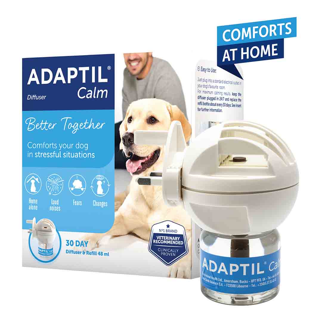 Adaptil Dog Calming Diffuser 60ml | Jollyes - Best Dog Calming Diffuser