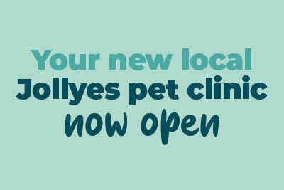 Pet Shop & Supply Store in Swindon | Jollyes