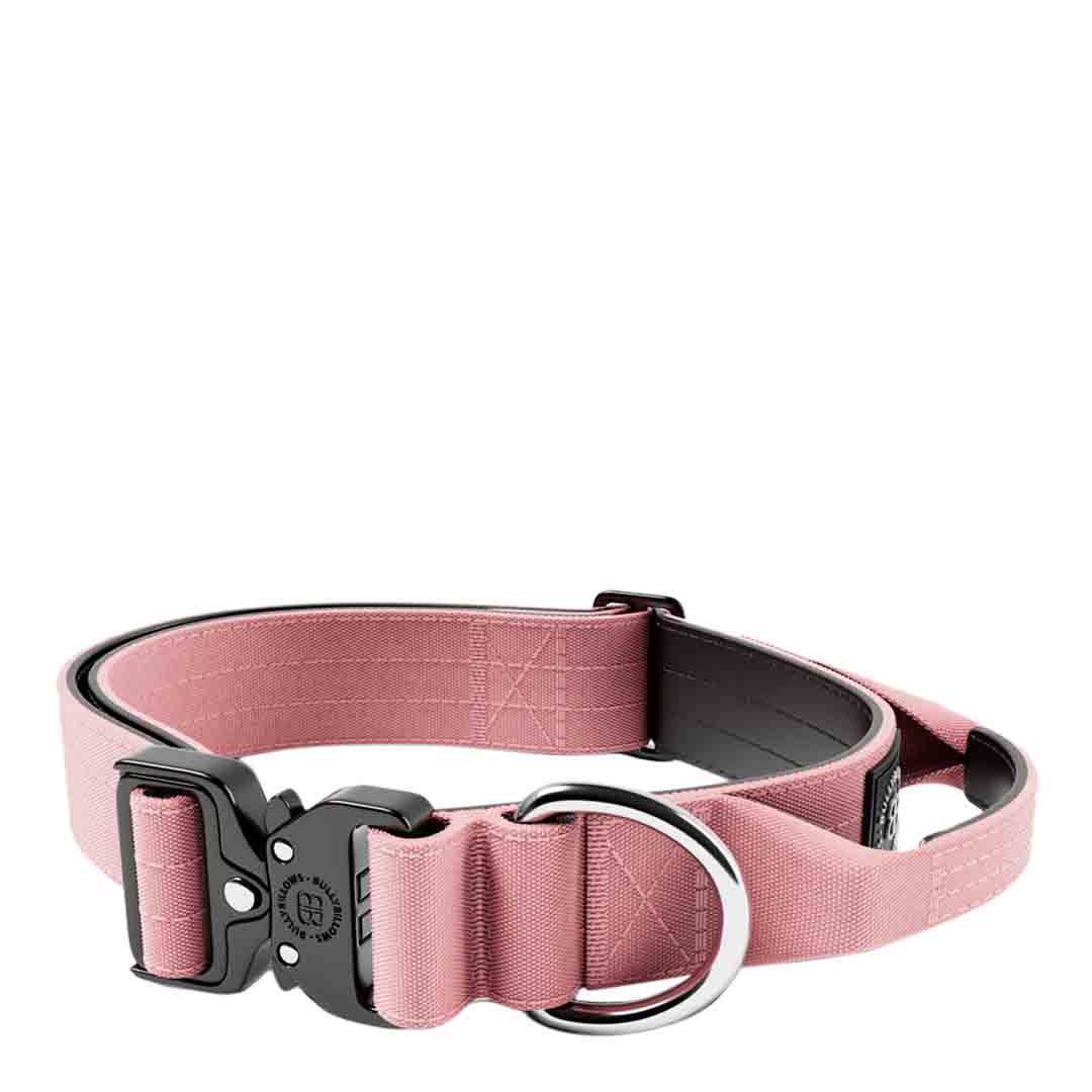 4 Cm Combat Collar Pink | Medium | Dog Collar