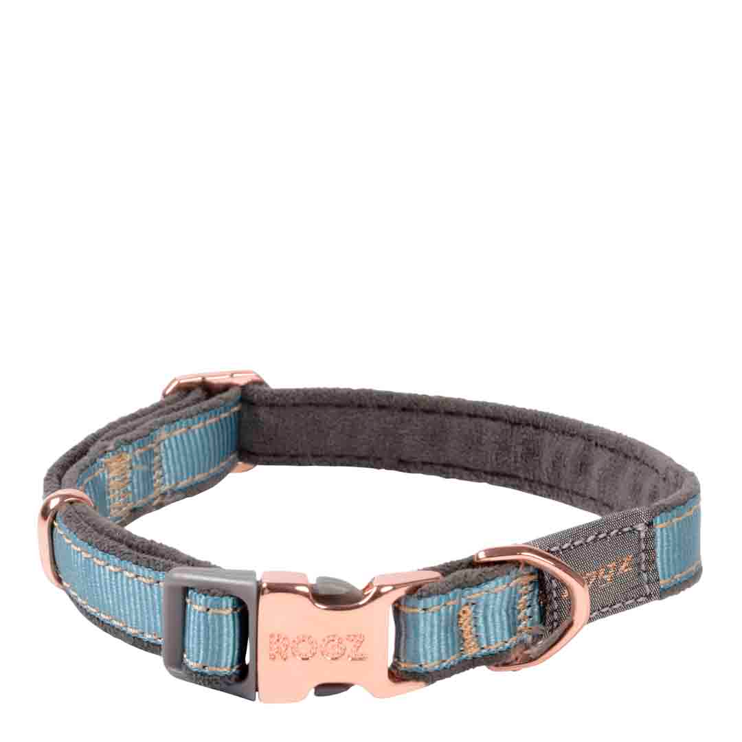 Rogz Urban Release Turquoise Small Dog Collar | Dog Collar
