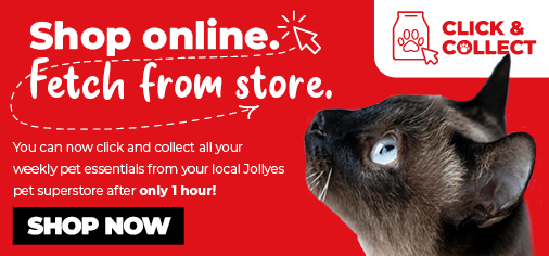 Cat Food & Accessories | Large & Small Cats | Jollyes