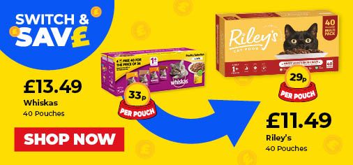 Cat Food & Accessories | Large & Small Cats | Jollyes