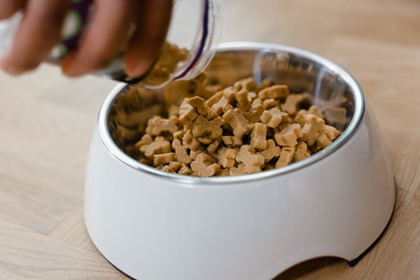 Dog Food Ingredients Glossary: The Ones to Know | Jollyes
