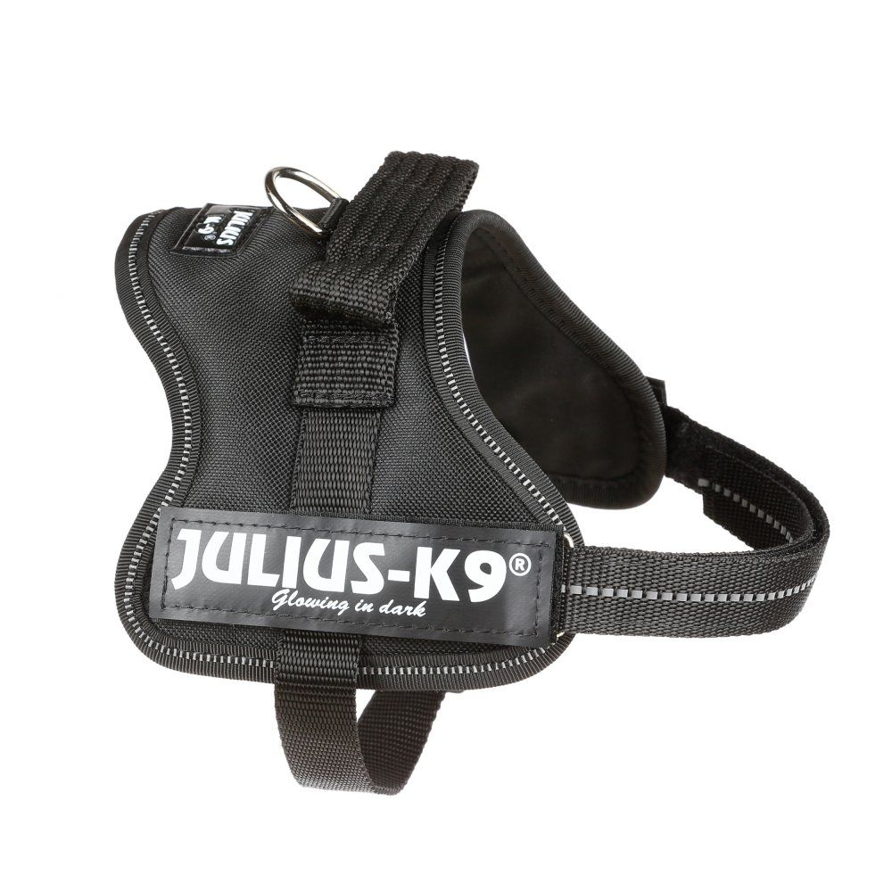Julius K9 Dog Harnesses | In-store & Online at Jollyes