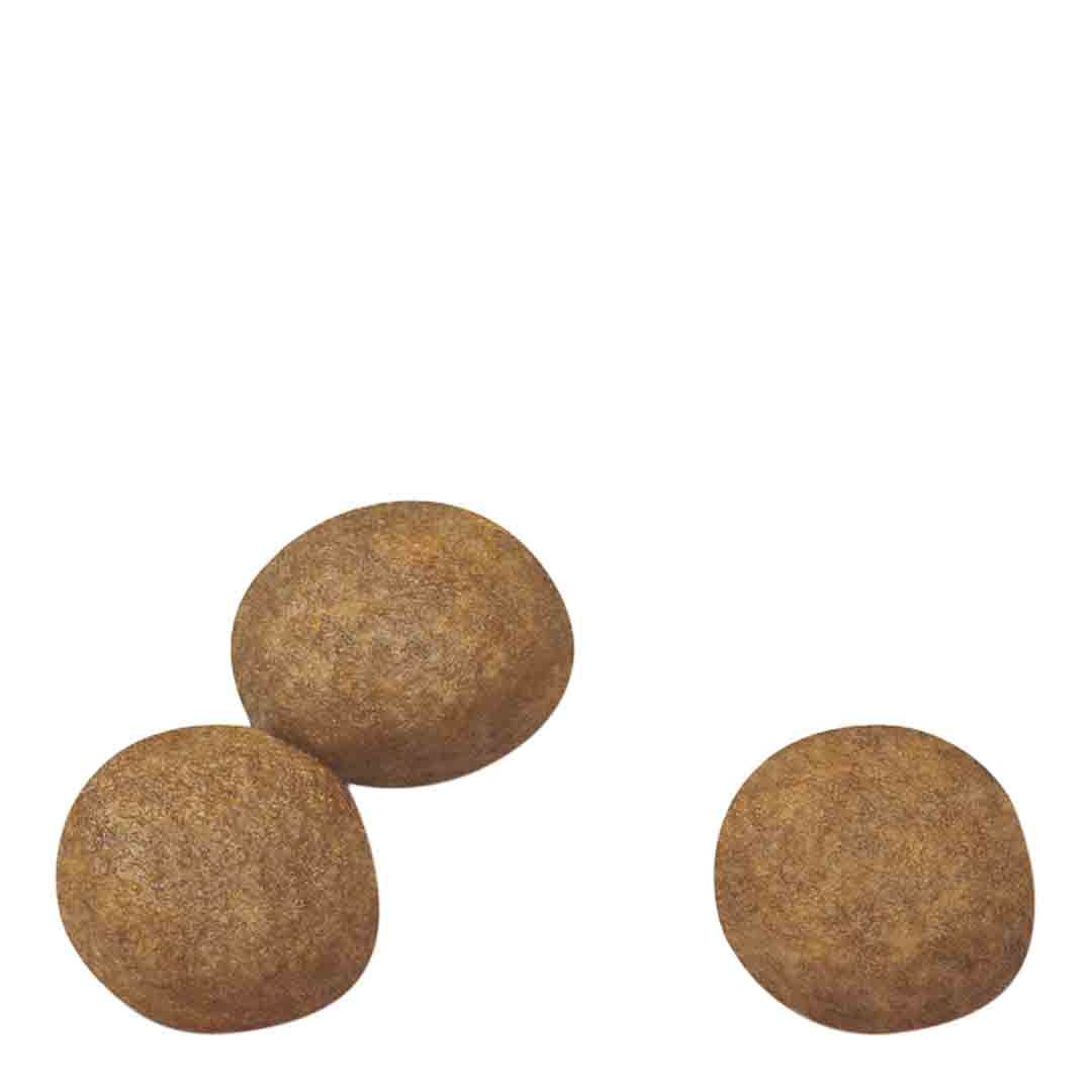 Royal Canin Maxi Puppy 15kg | Dry Dog Food