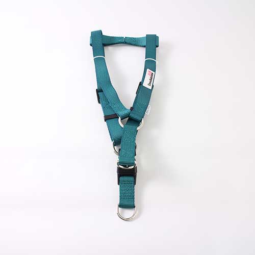 Doodlebone Bold Dog Harness Teal | Dog Harnesses
