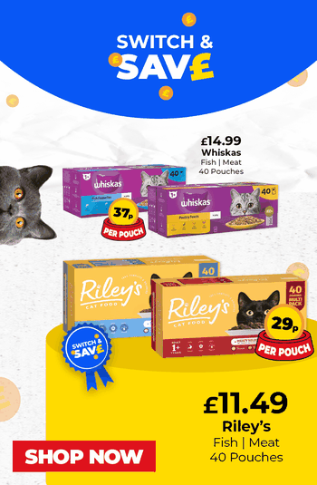 Cat Food & Accessories | Large & Small Cats | Jollyes