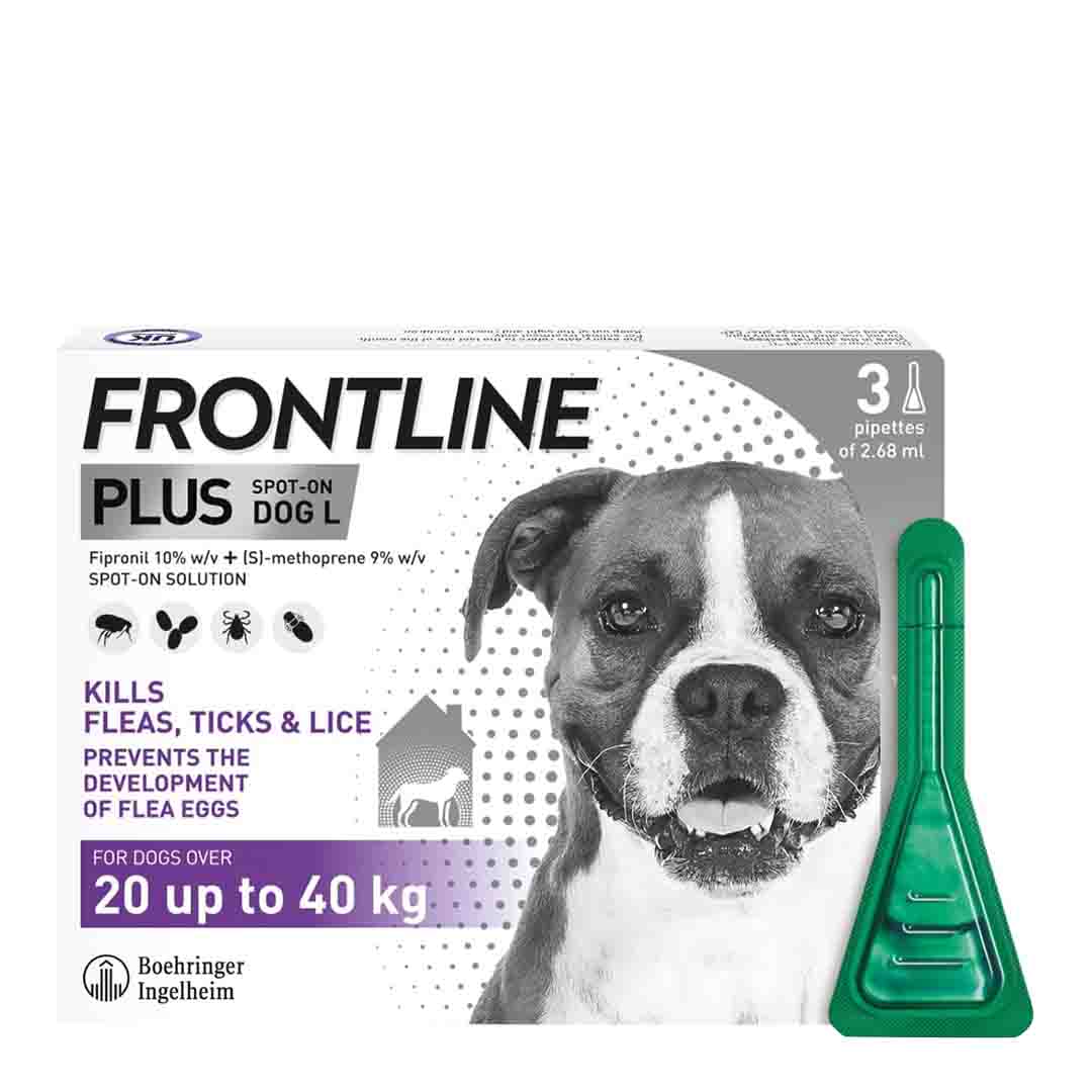 Frontline Plus Dog Flea Medicine for Large Dogs 20-40kg 3 pack
