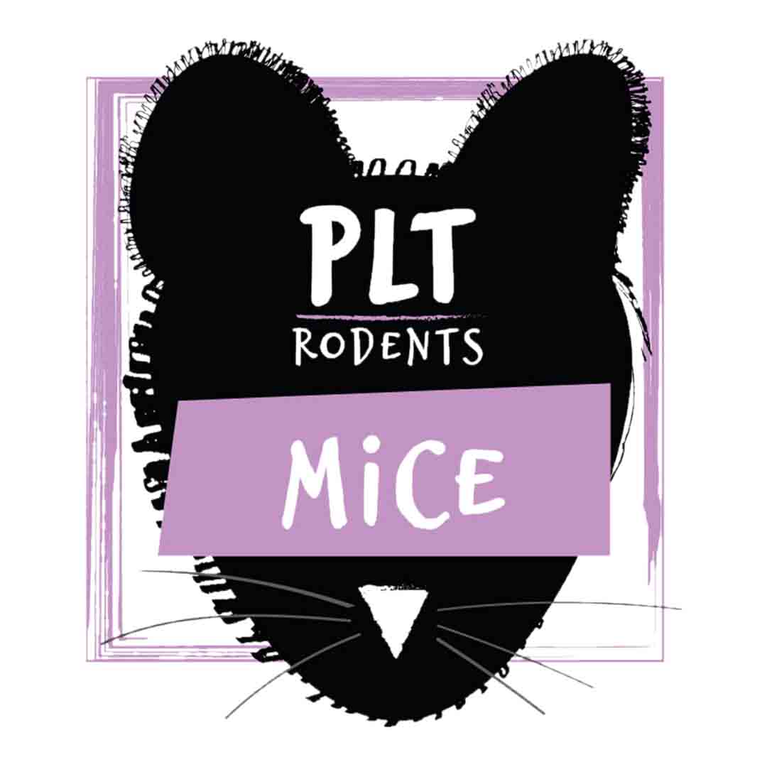 PLT Frozen Mice X-Large 30 g | 10 Packs | Reptile food