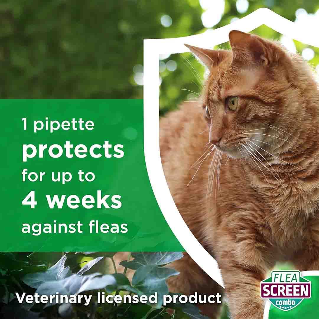 Flea Screen Combo Small Dog (2-10kg) 1 Pipette Spot On Fleas, Flea Eggs ...