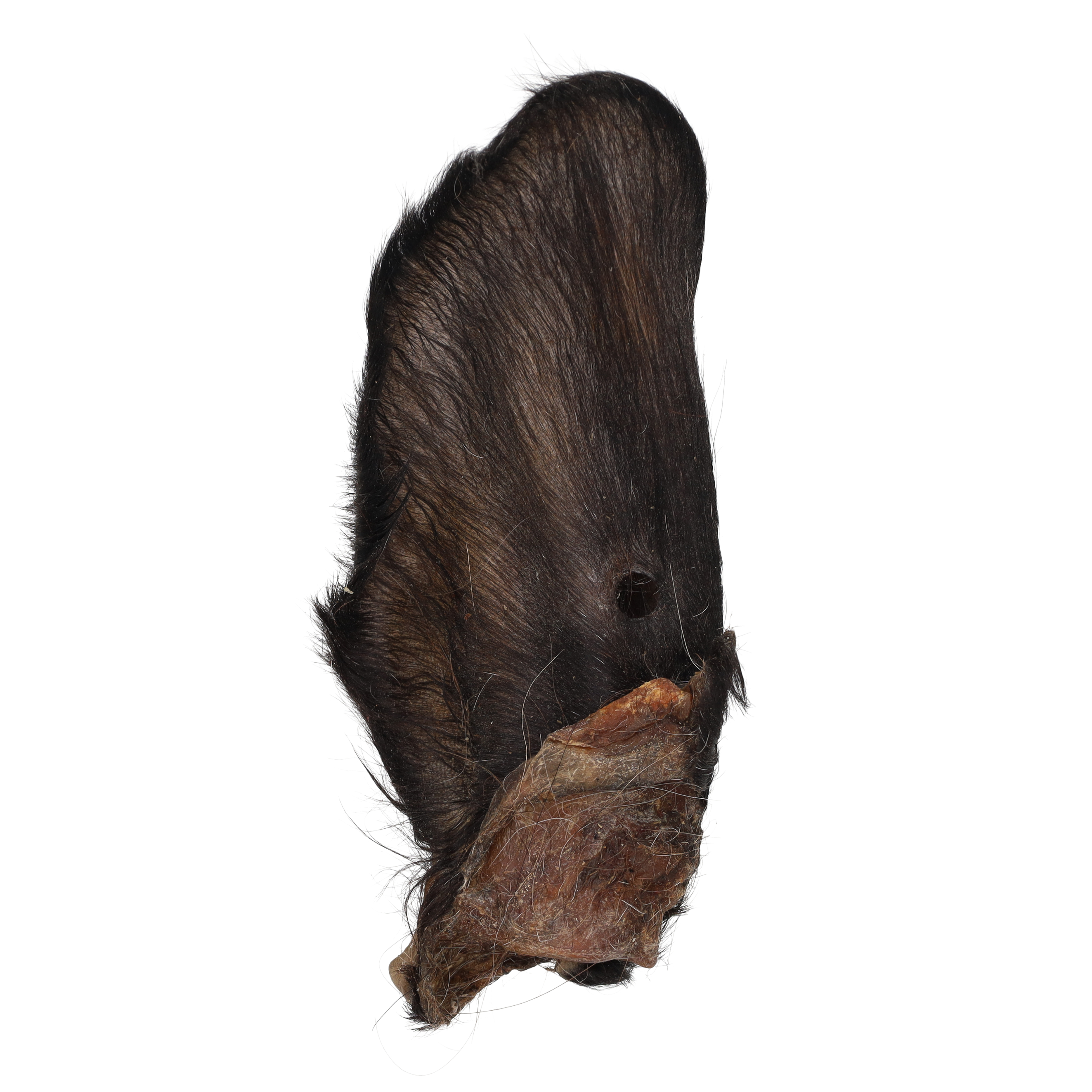 Jollyes Beef Ears With Hair Single | Jollyes