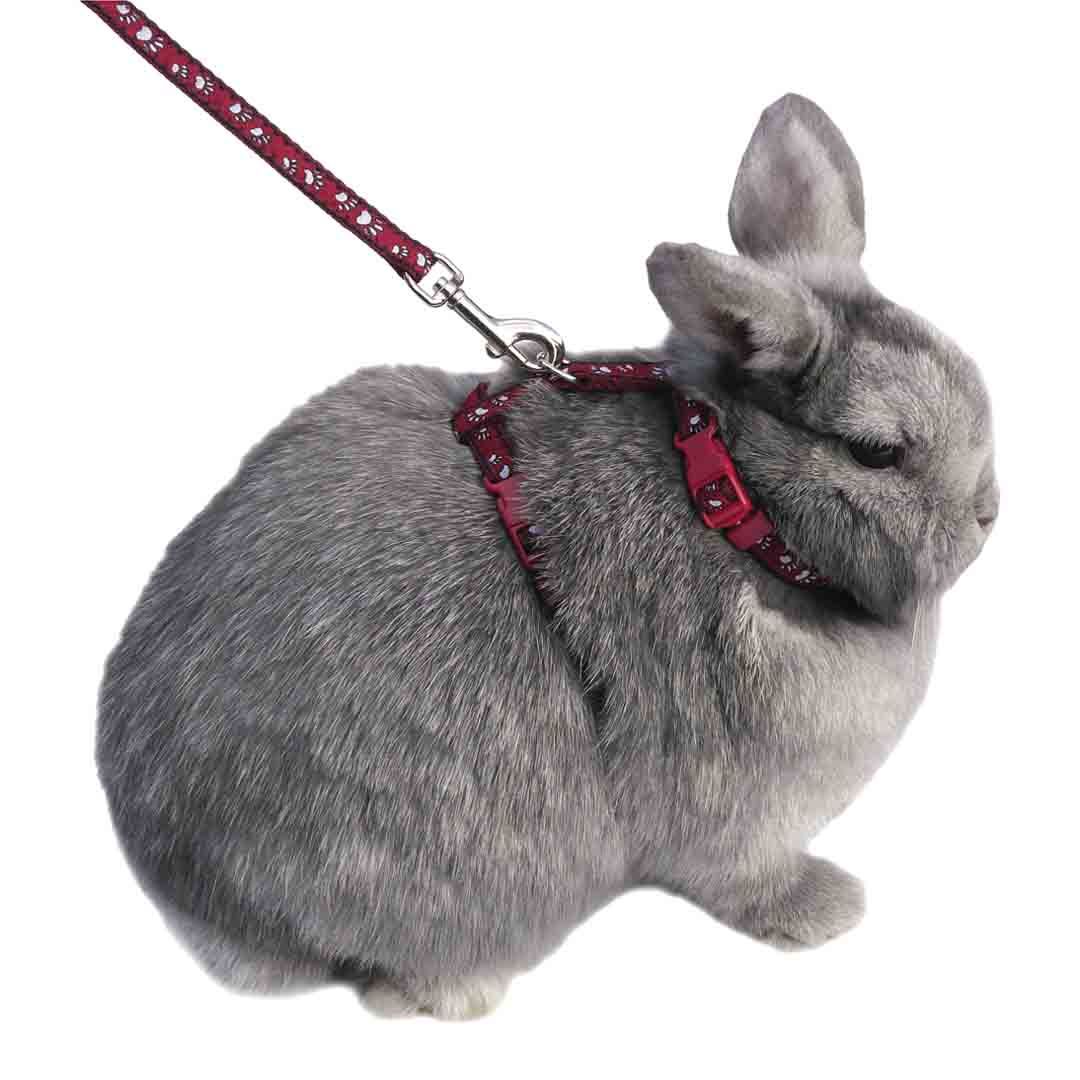 Rosewood Rabbit Harness Lead & Collar Set | Rabbit Collar
