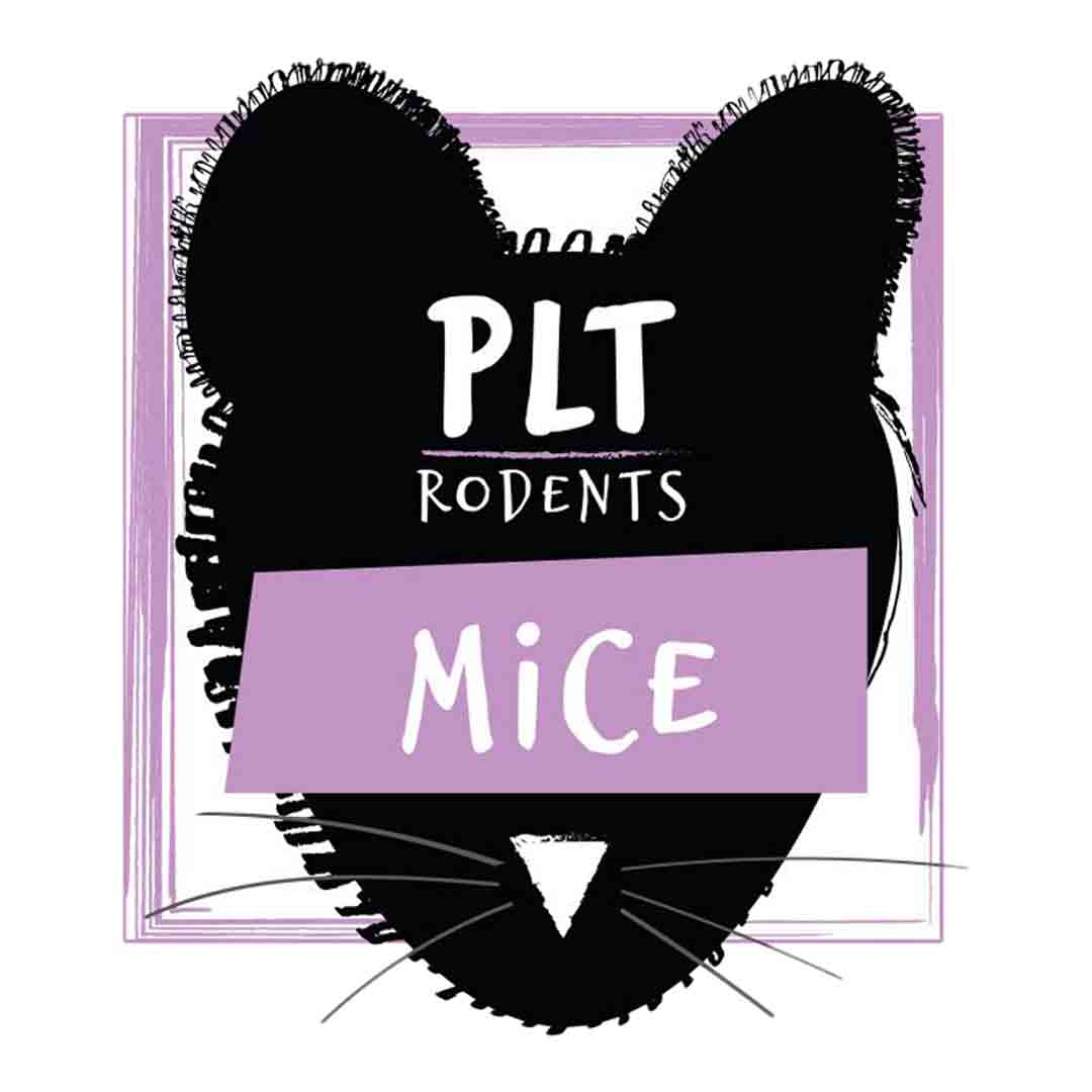 PLT Frozen Mice Pinkies 1 g | 10 Packs | Reptile food