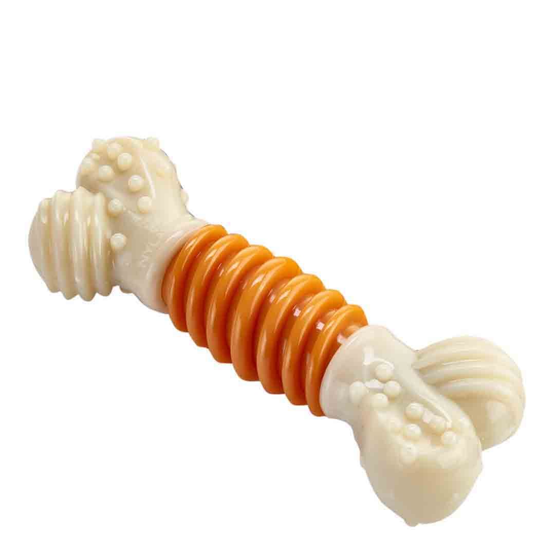 Are Nylabones Bad For Your Dog