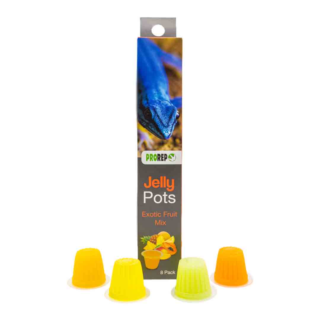 Prorep Crested Gecko Jelly Pots | Exotic Fruit Mix