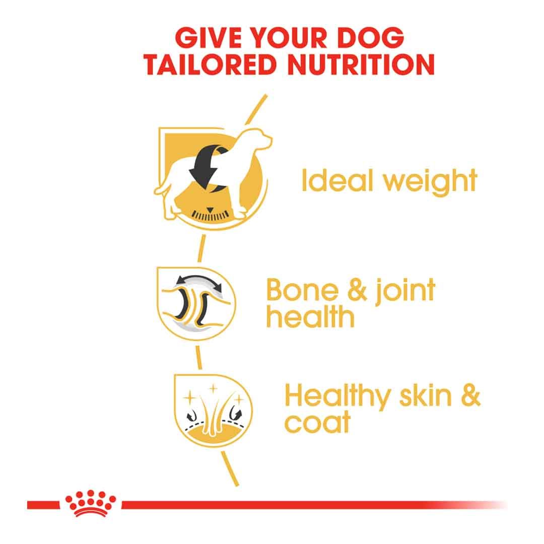 Royal Canin Labrador Retriever Adult | Dry Dog Food