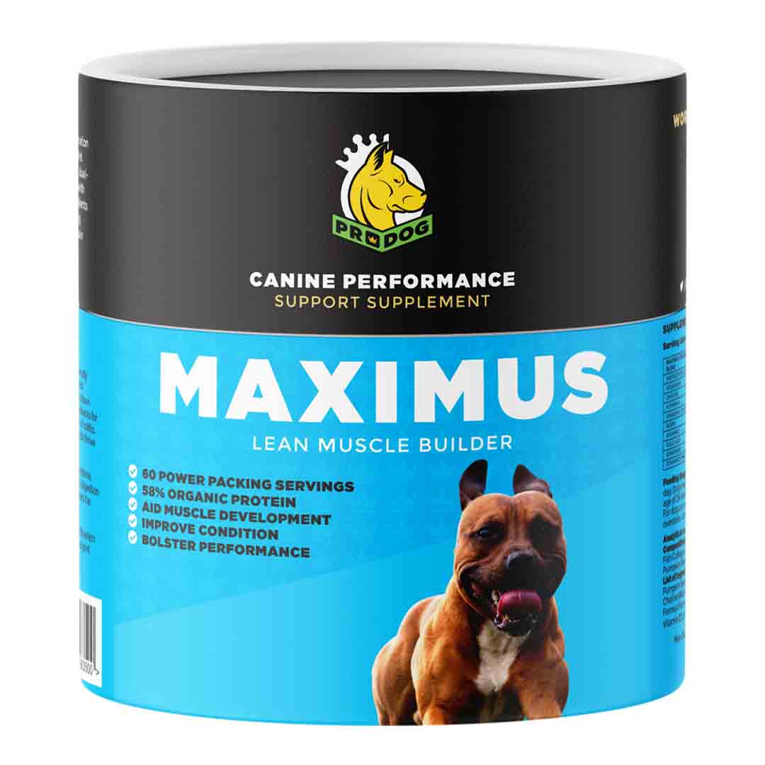 ProDog Raw Maximus Lean Muscle Builder 300g | Dog Health Supplements