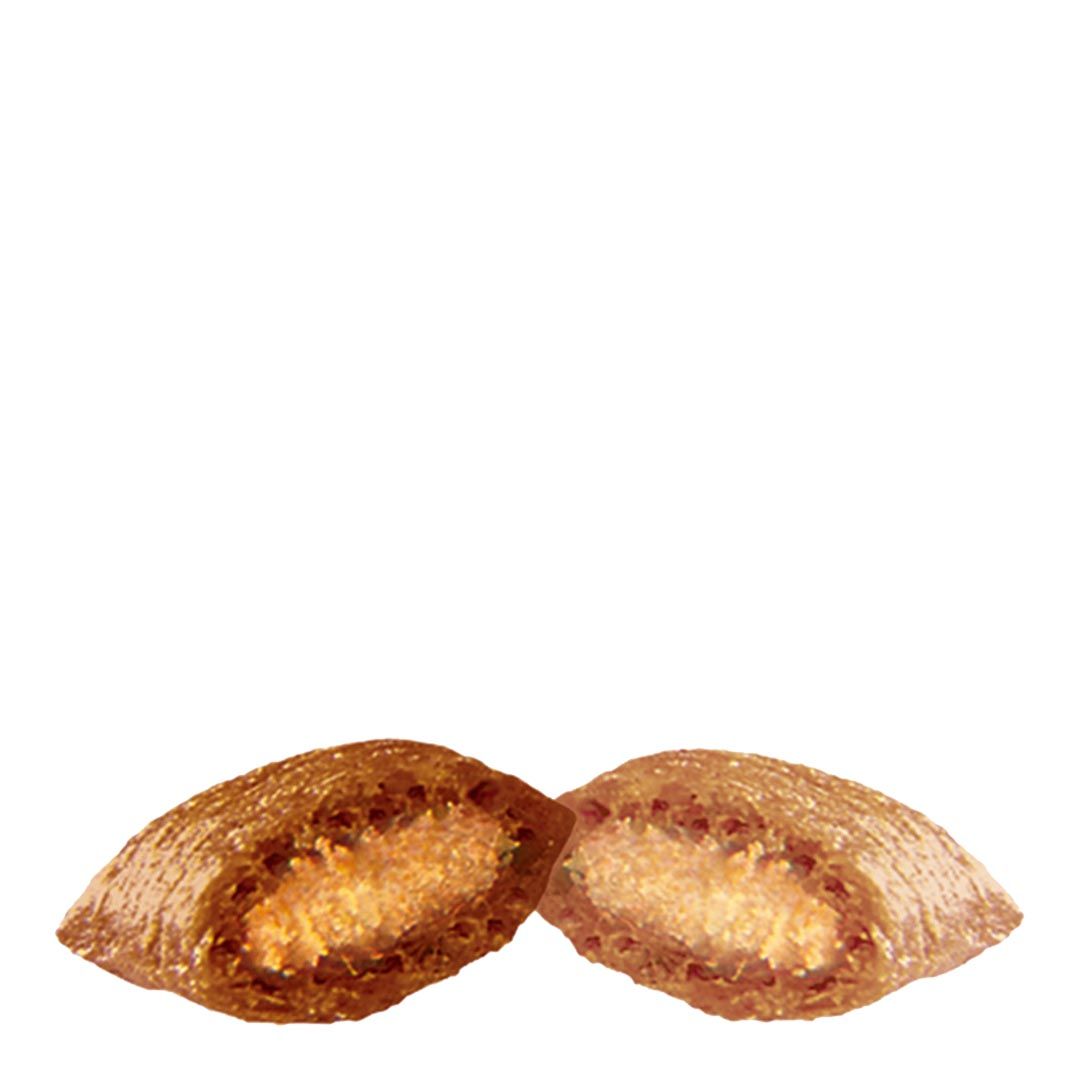 Dreamies Mix with Delicious Cheese and Tempting Beef 60g | Cat Treats