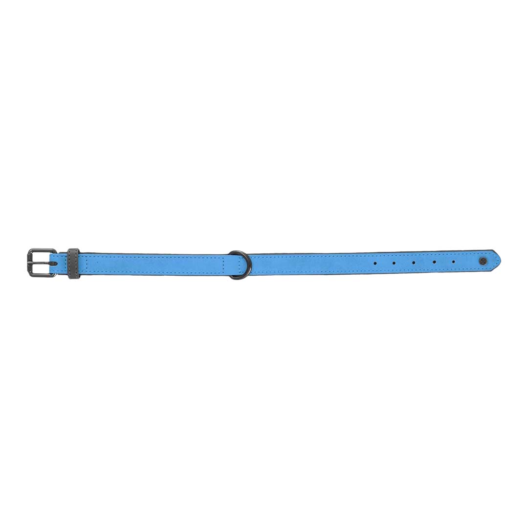 Rufus & Rosie Brights Tech Collar Blue | Dog Collar