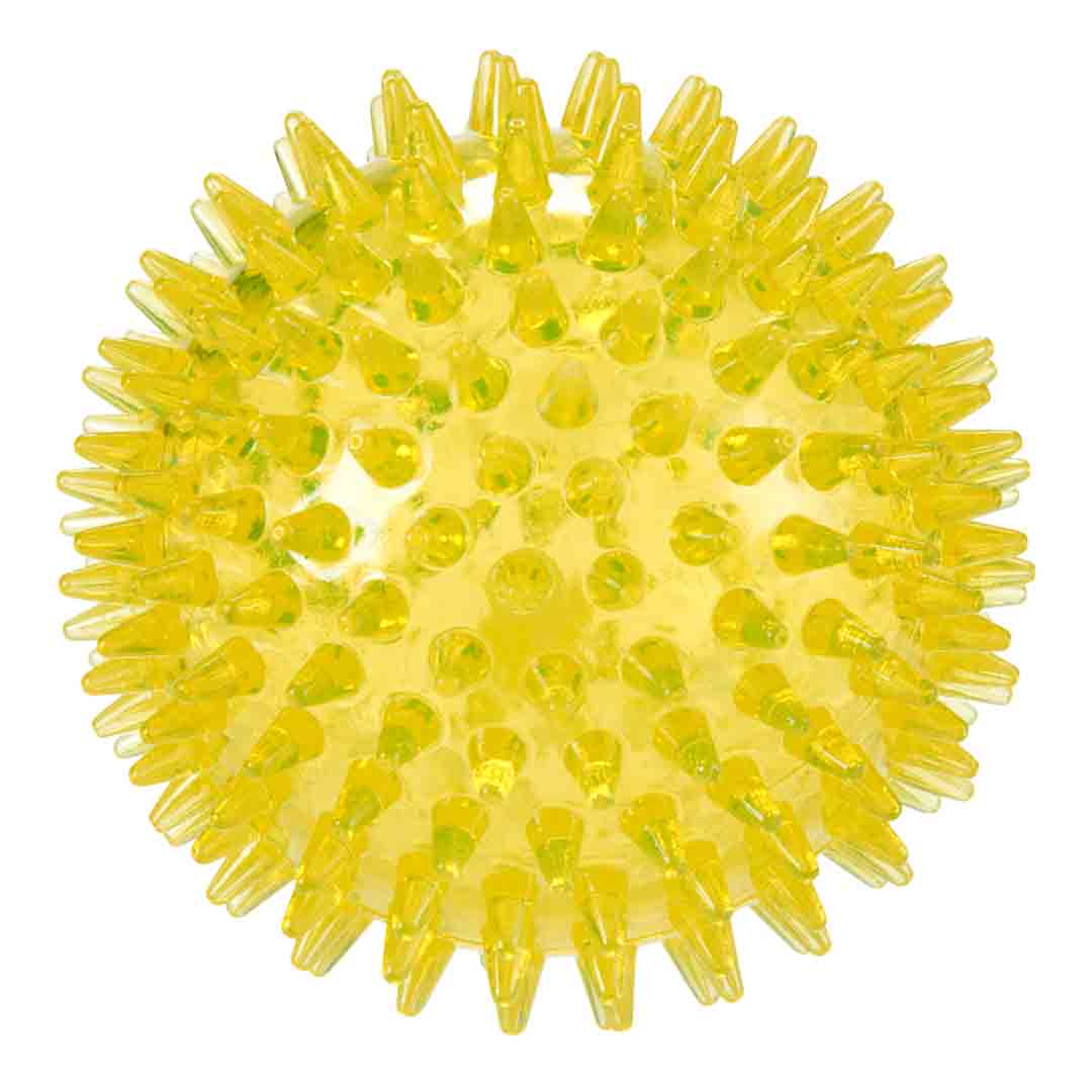 Spiky dog ball store