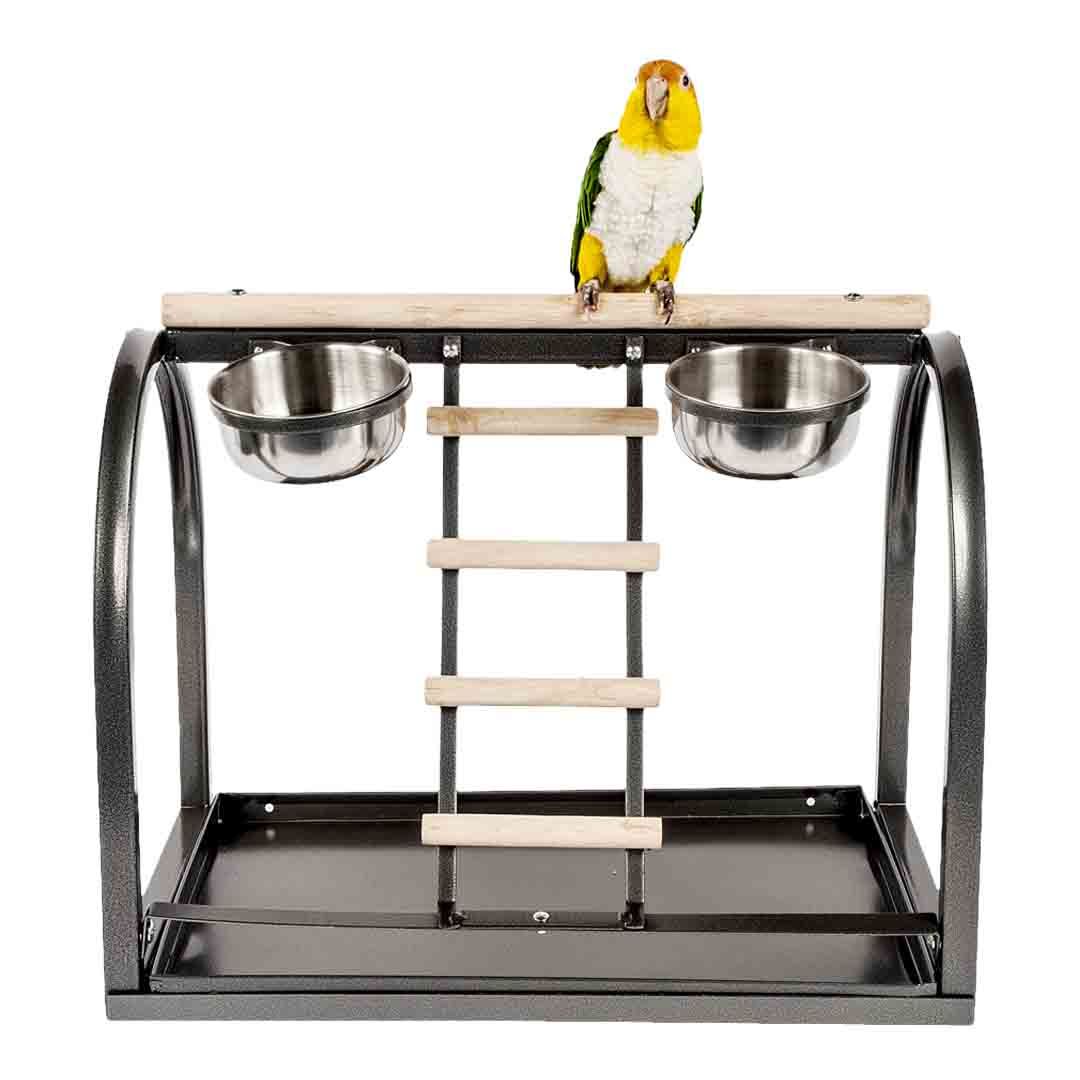 Rainforest Cages | Stainless Steel Table Top Stand for Birds