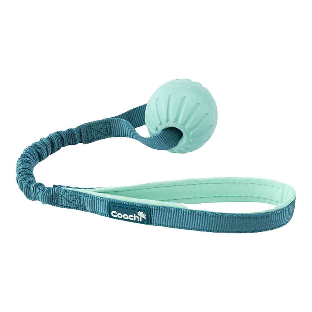 Coachi Puppy & Mini Tuggi Ball Dog Toy Teal & Mint | Jollyes