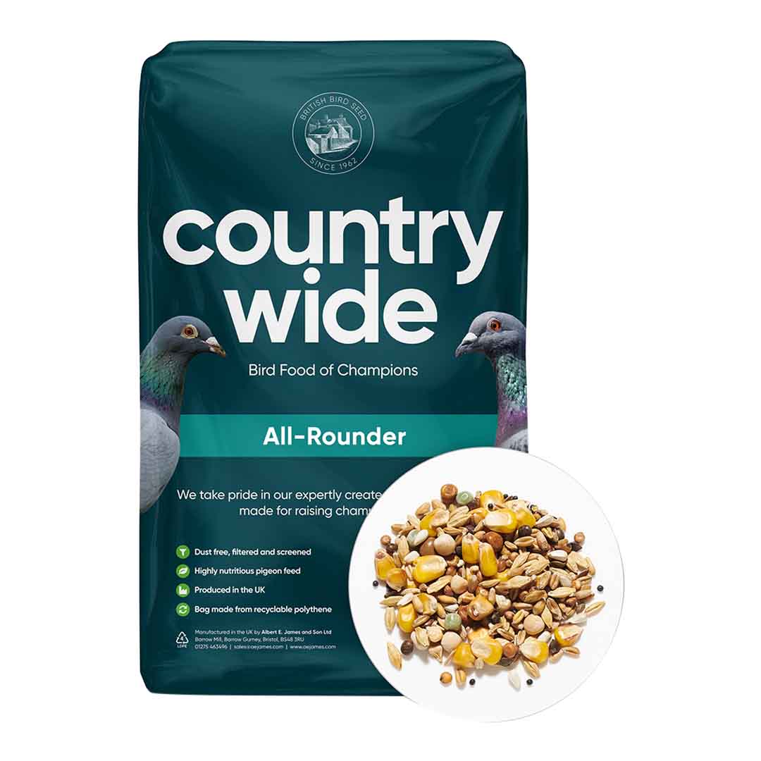 Countrywide All – Rounder | 20 kg | Bird Food