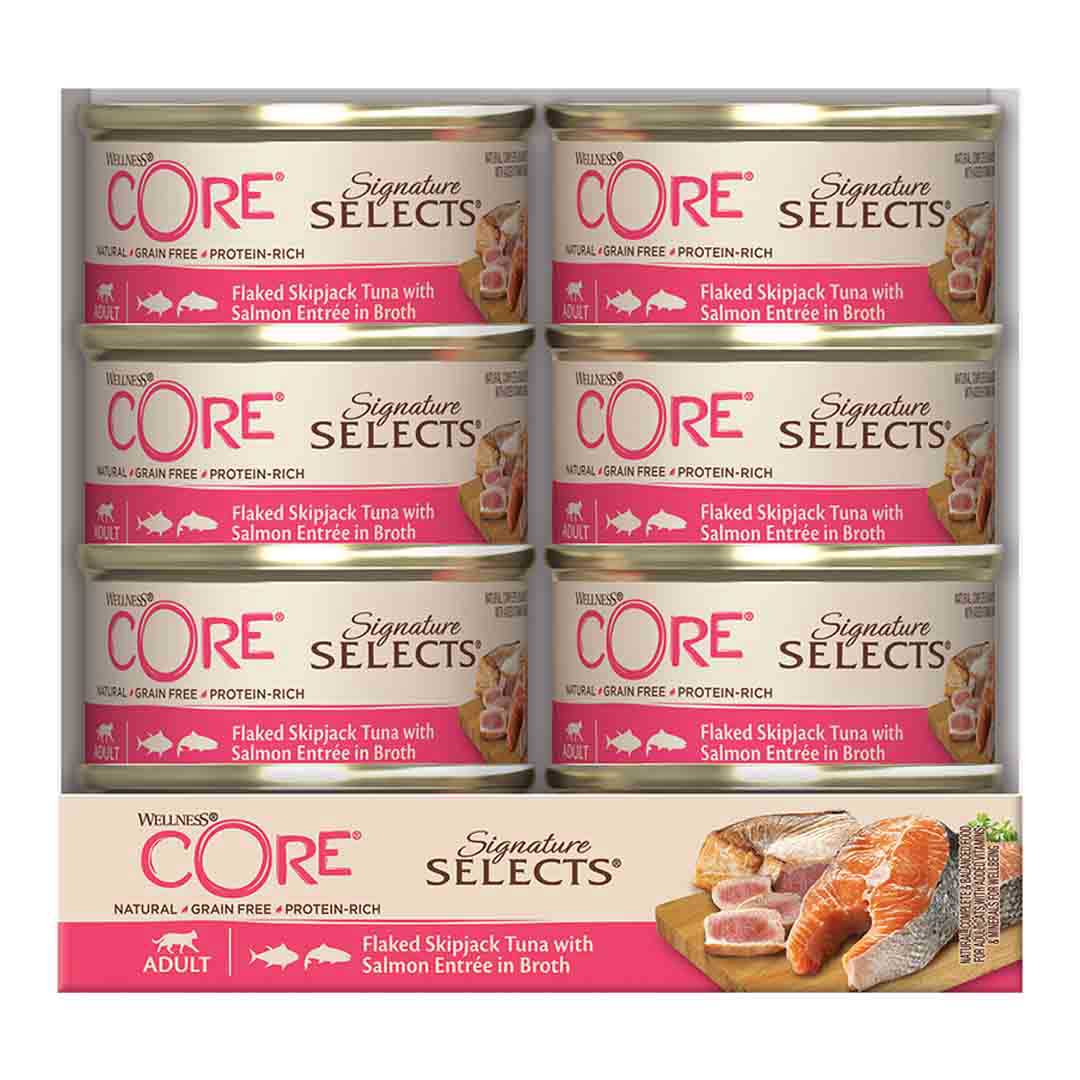 Wellness CORE Flaked Tuna with Salmon Broth Adult Wet Cat Food | Jollyes