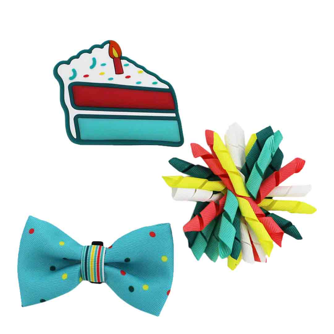 Ancol 'Its My Birthday' Blue Collar Dog Birthday pack| Dog Birthday Present