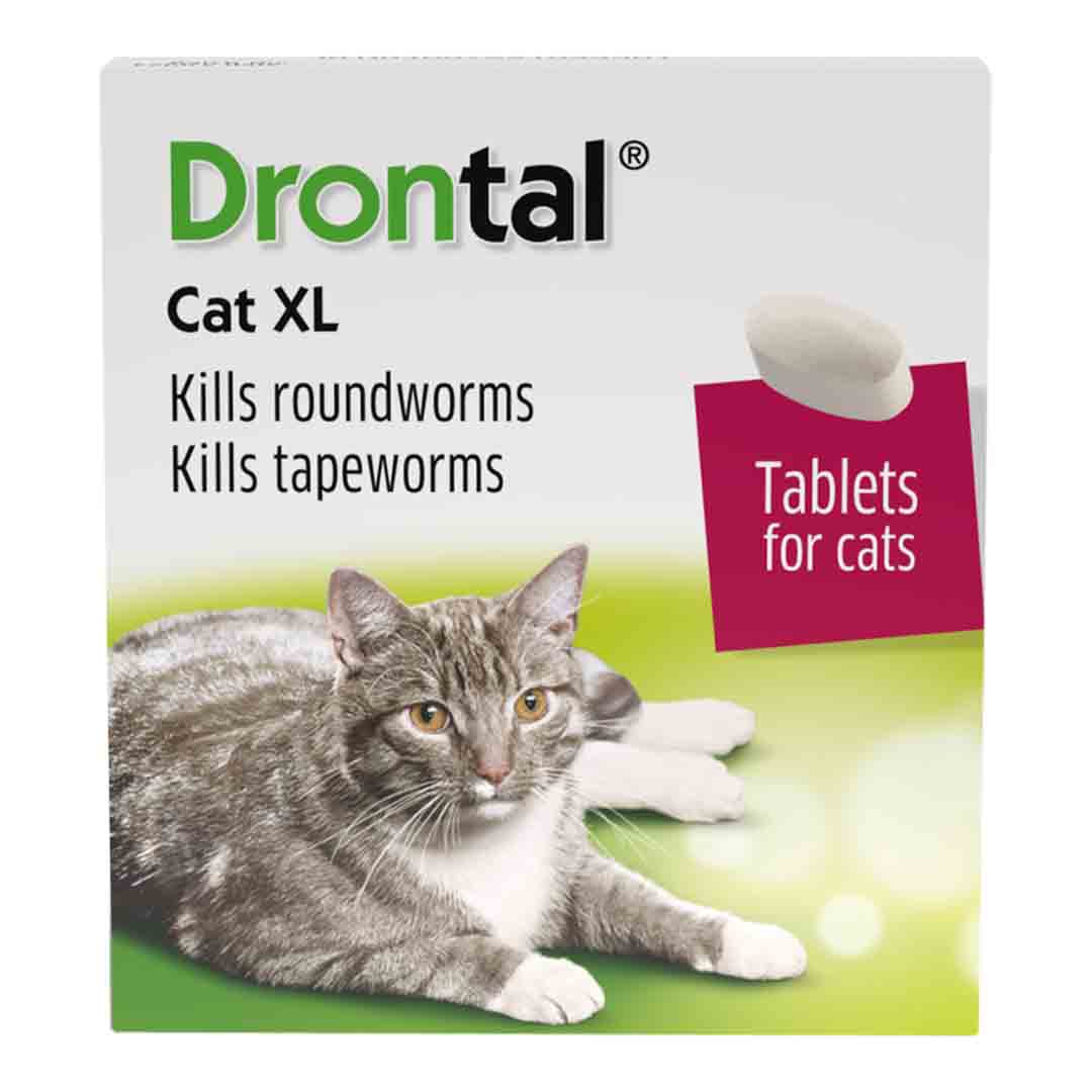 Drontal Wormer XL Tablets for Large Cats (Over 4kg), 8 Pack | Cat Worming