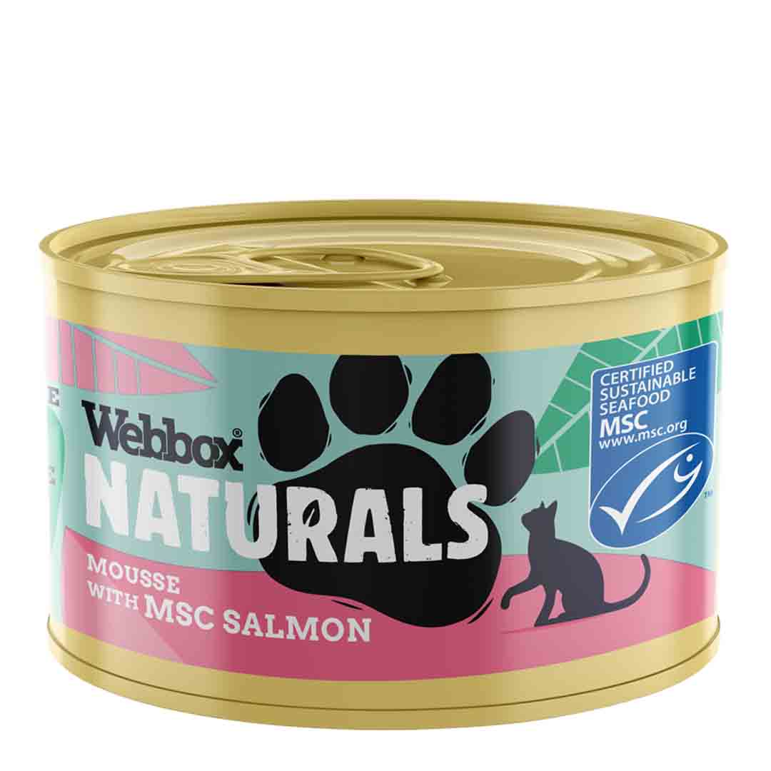 Webbox Naturals Cat Mousse Salmon 85g | Wet Cat Food