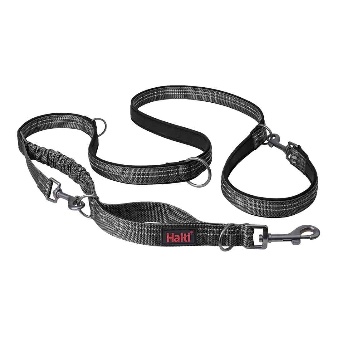 Halti Anatomy Multi Use Dog Lead in Grey, Large | Jollyes