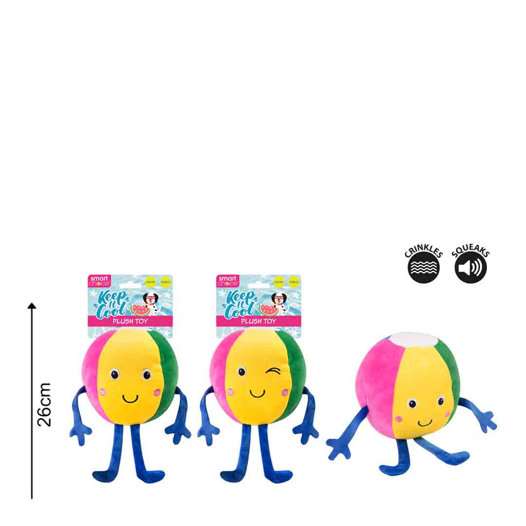 Summer Beach Ball Plush Toy Chew Toys summer-beach-ball-plush-toy-chew-toys