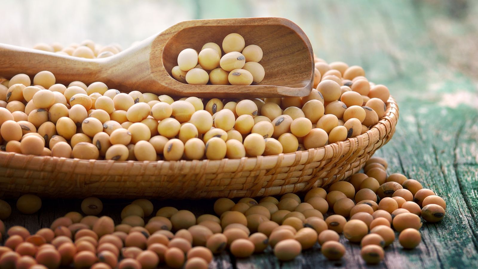 Lecitina de Soja: Propiedades y Contraindicaciones para Tu Salud