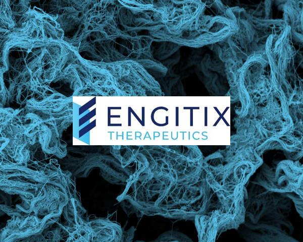 Identifying new innovative treatments for fibrosis and cancer