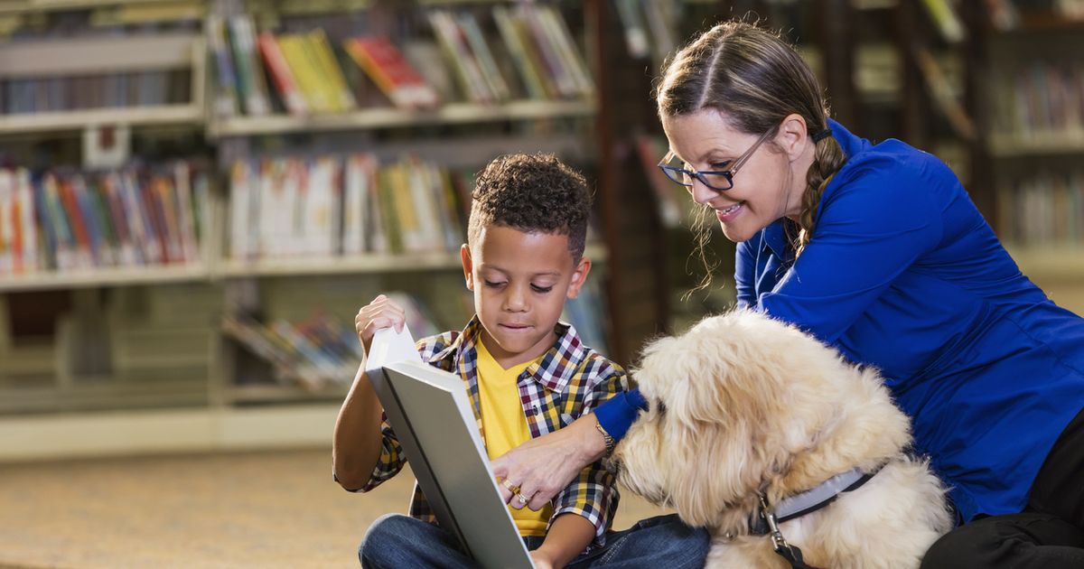 Therapy dogs in schools: what exactly do they do? | ManyPets