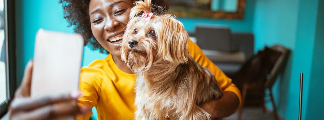 How To Take Good Photos Of Your Dog