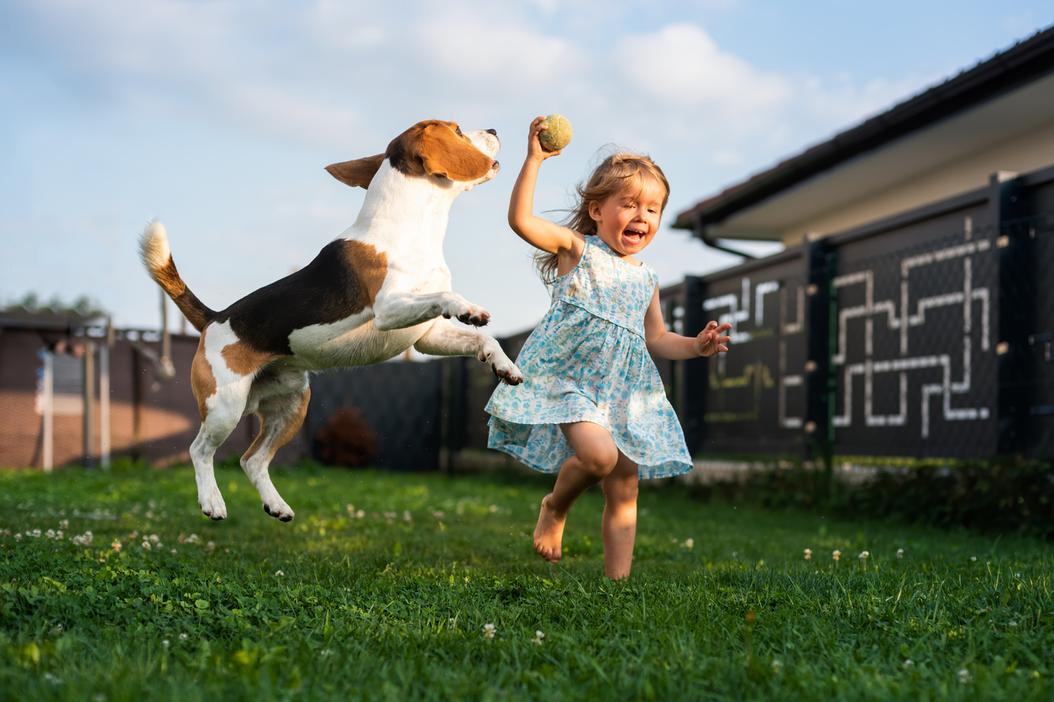 The Best Dogs For Children | Family Friendly Breeds | ManyPets
