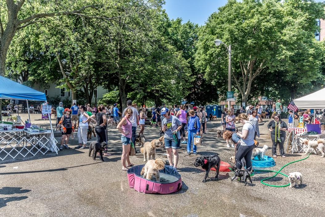 8 best dog parks in Chicago | ManyPets