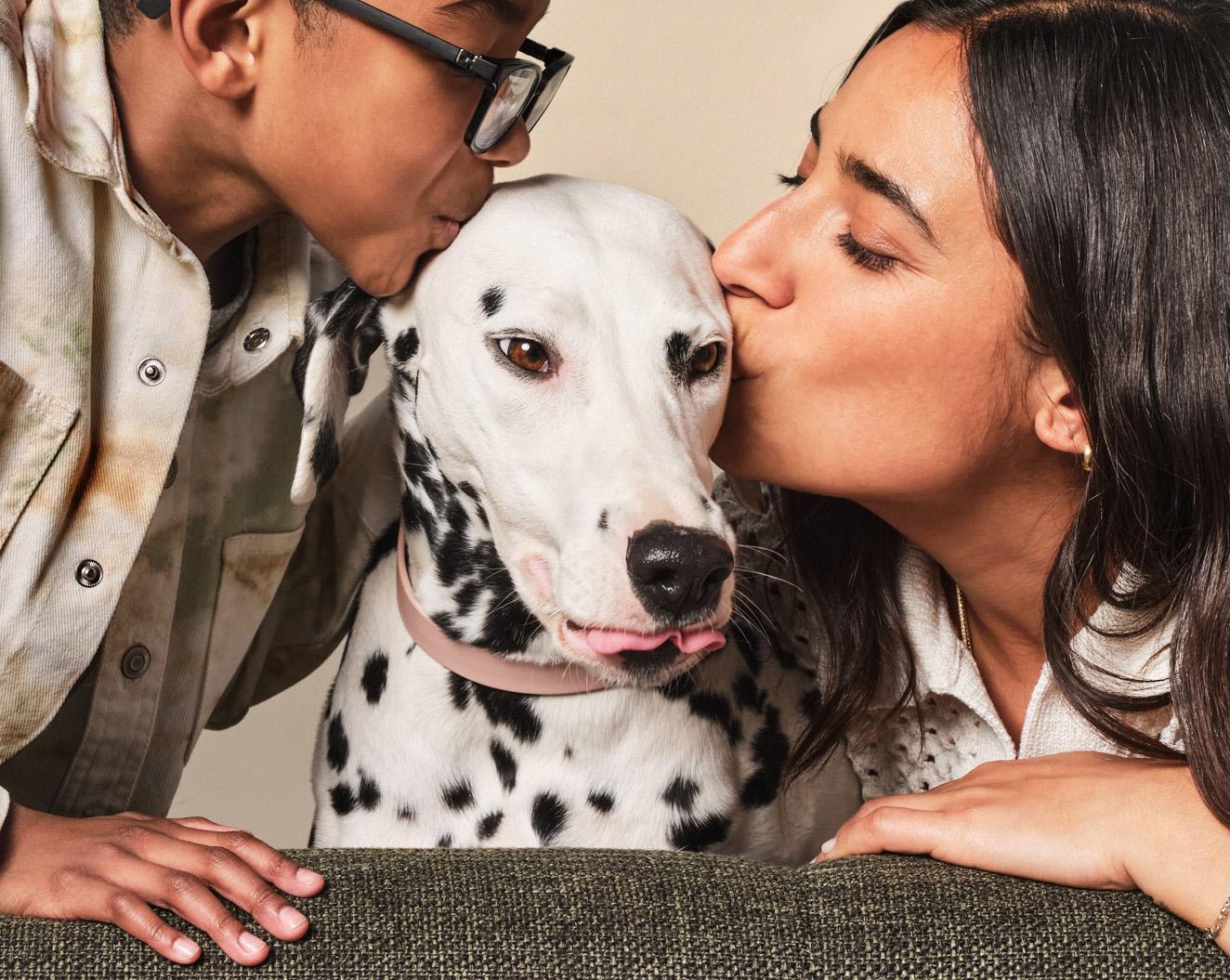 Pet insurance online: top-ranked pet health insurance | ManyPets