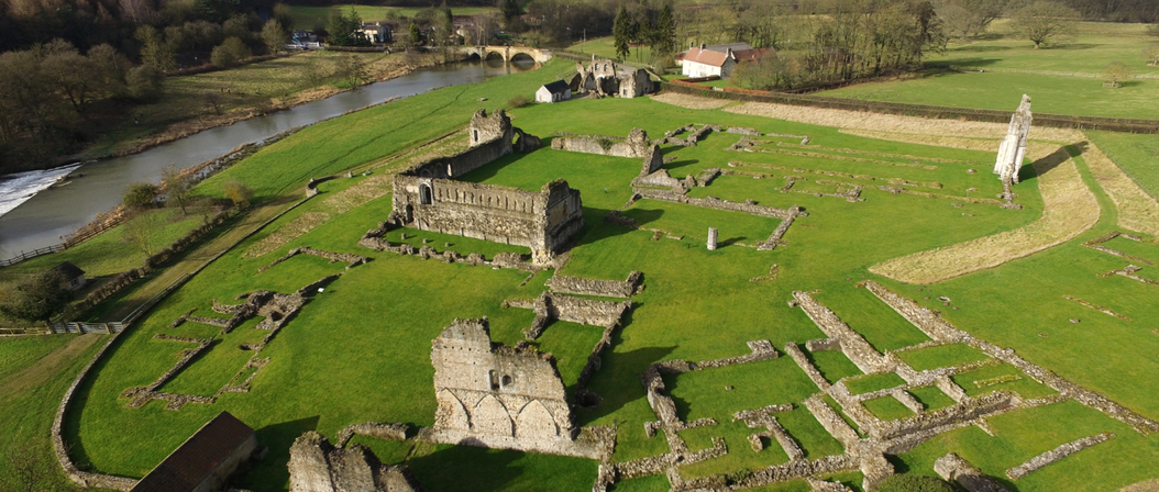 Top 5 dog-friendly things to do in York | ManyPets