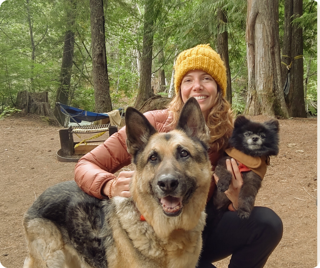 Camping with dogs? 11 tips to make your trip a success | ManyPets