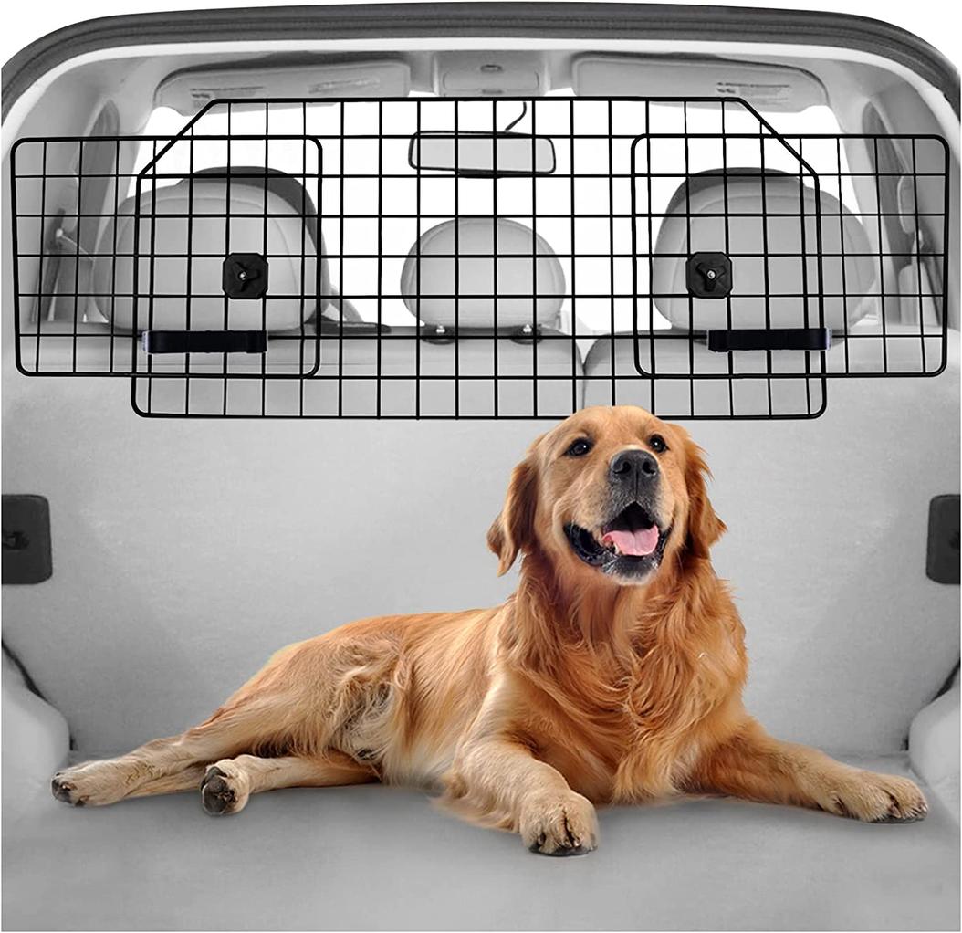 Driving with your dog? Here are 7 tips to do it safely | ManyPets
